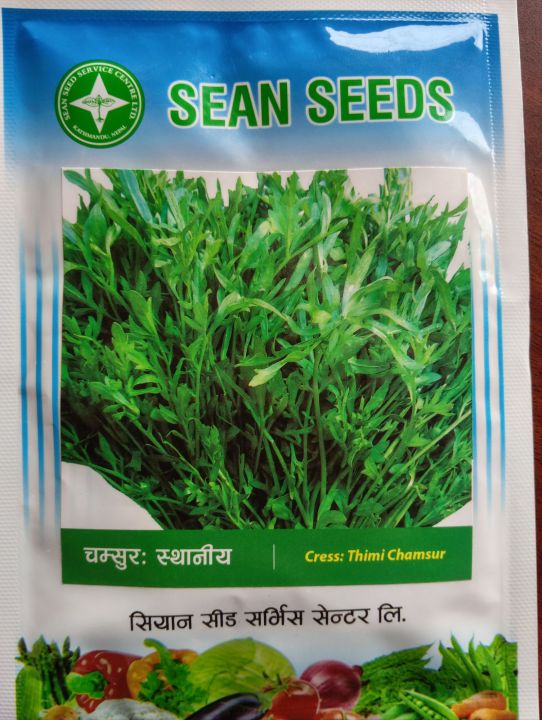 Cress / Chamsur Seed 20Gm Sean | Daraz.com.np