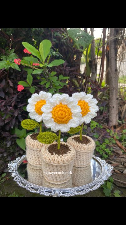 crochet mini daisy flower vase | Daraz.pk