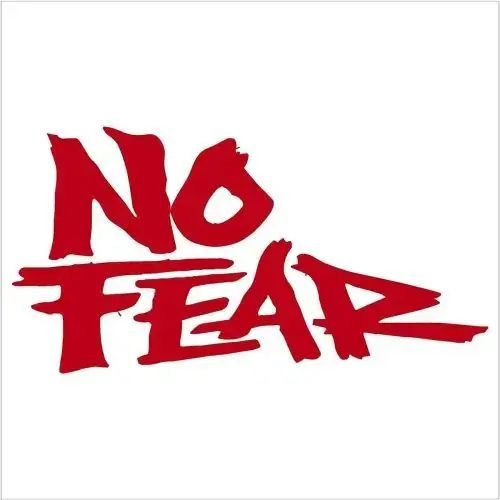 NO FEAR Red Vinyl Car Sticker/Decal 3" X 5". | Daraz.pk