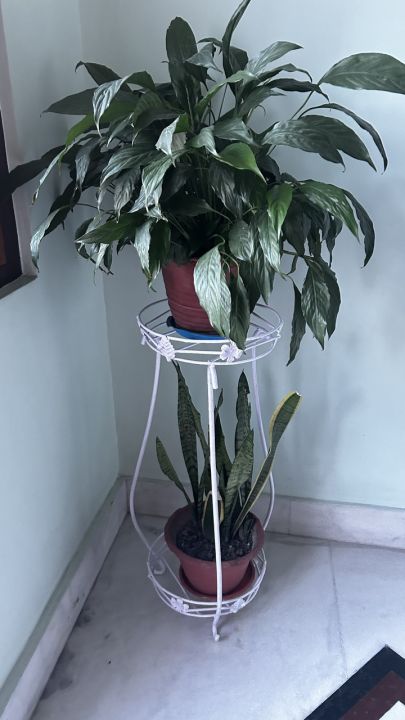 Two Tier Metal Gamala Stand Black | Daraz.com.np