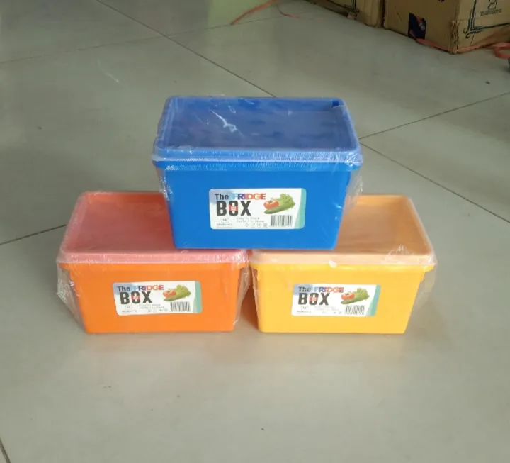 Pure Plastic Fridge Food Storage Box With lid - Multicolor | Daraz.pk