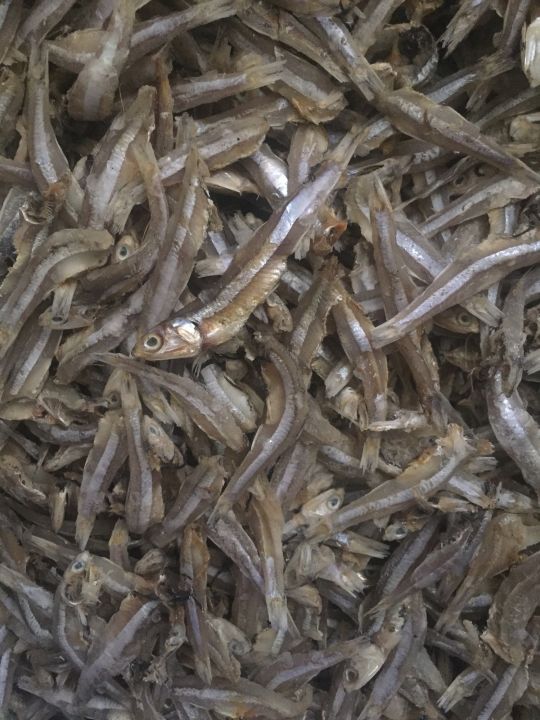 Dry fish , srilankan halmaso (500g) | Daraz.lk