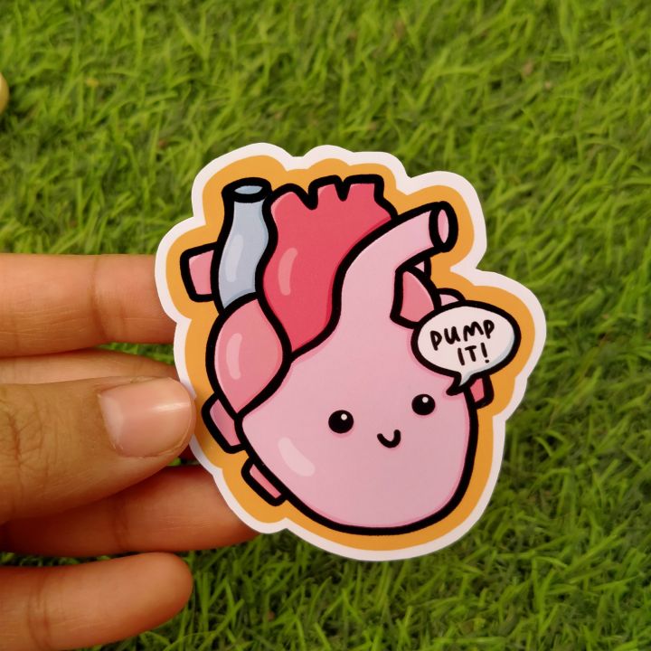 Science Sticker Set (8 PCs) | Daraz.pk