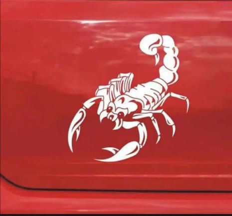 30x18cm (White) Big Scorpion Sticker for Car Bonnet, Bumper, doors, etc ...