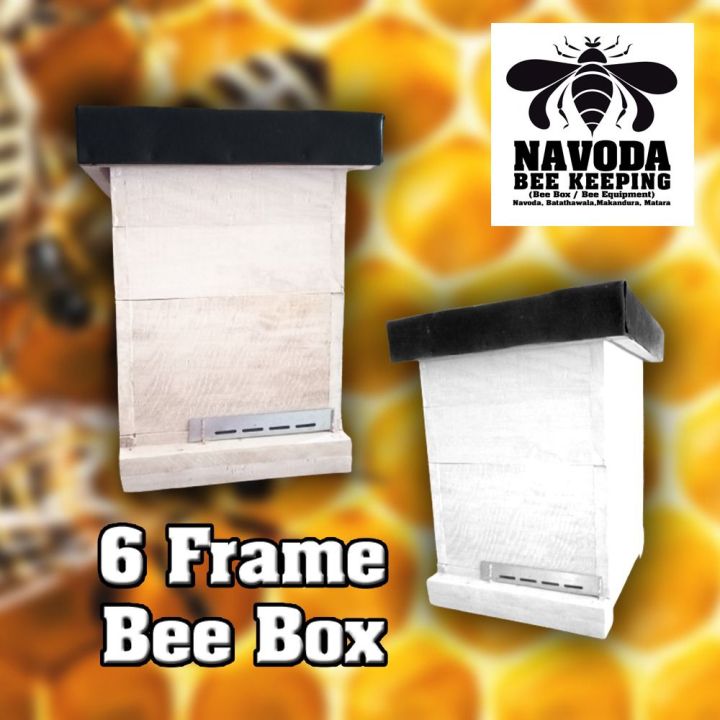 6 frame, wood bee box | Daraz.lk