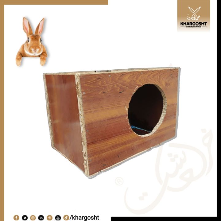 Breeding box for Rabbits, Closed breeding box for Rabbits | Daraz.pk