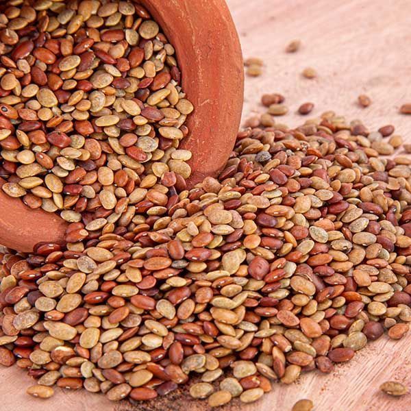 Kollu Seeds 500g | Daraz.lk: Buy Online at Best Prices in Srilanka ...