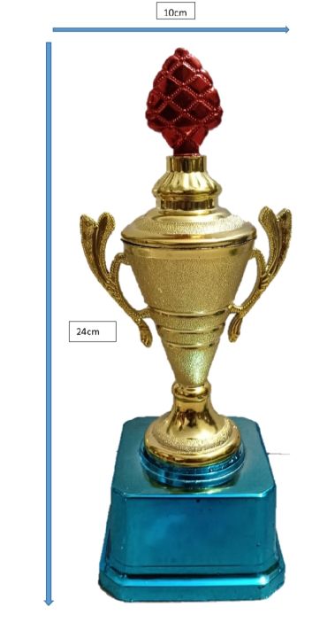 Best Plastic trophy 24*10 cm/ 9.5inch size (pack of 1 &3 &6 Trophy cup ...