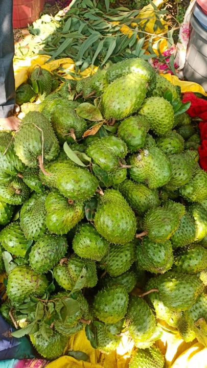 Korsol Fol 500g (Cancer Patient) | Daraz.com.bd