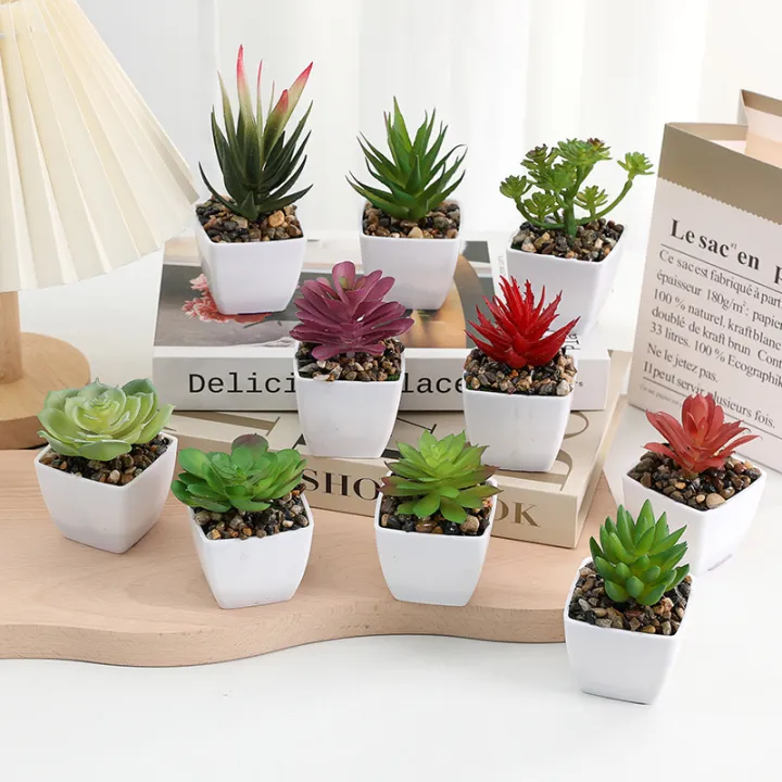 Artificial Succulent Plants Potted Assorted Decorative Faux Succulent ...