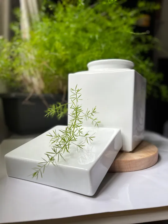 Storage bottle,,, white colour,,, 1250ml… | Daraz.lk