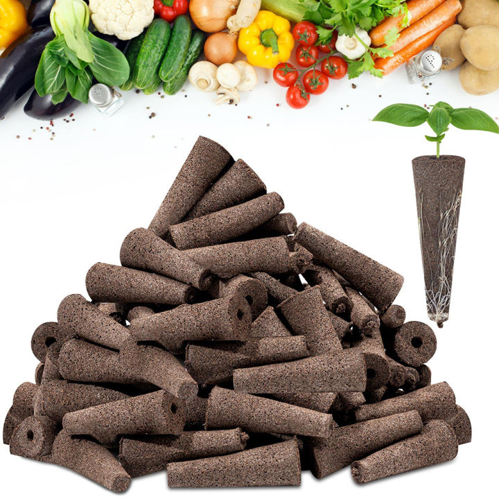 50Pcs Seed Grow Sponges Replacement Root Growth Sponges Seedling ...