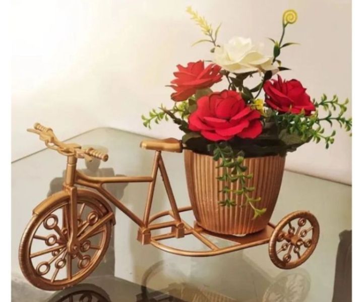 White and Golden Decorative Cycle with Flower Accents | Daraz.pk