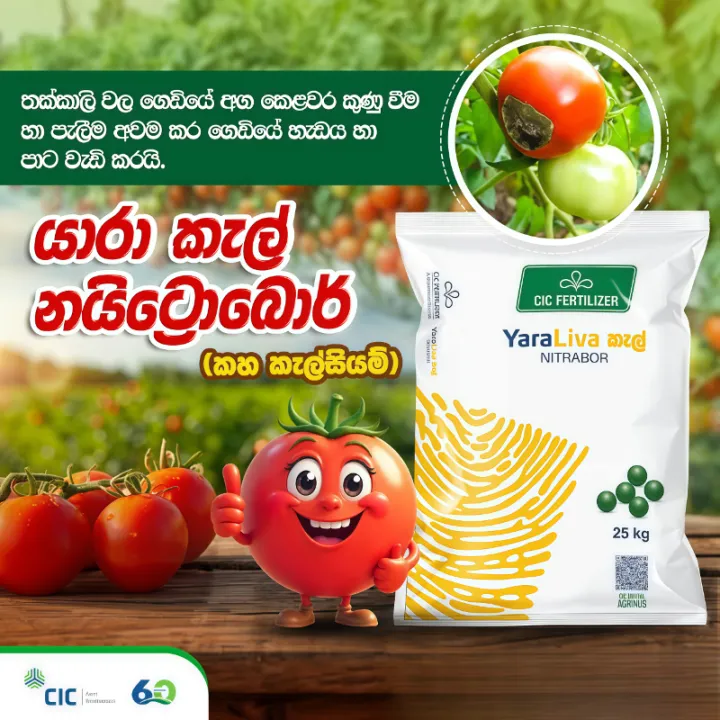 Yara Cal Notrabor High Calcium Fertilizer For All Flowers,Vegitables ...
