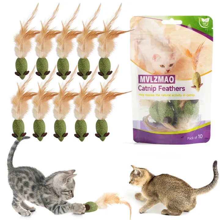 Mouse Cat Toys Catnip Feather Ball Self Cleaning Teeth Interactive Home ...