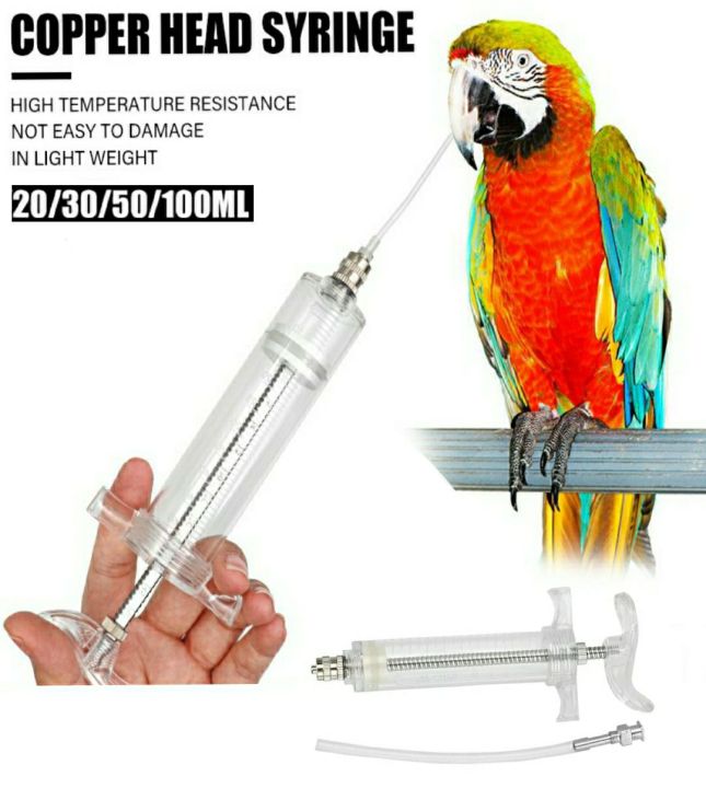 Bird Hand Feeding Syringe Copper 50ml | Daraz.lk