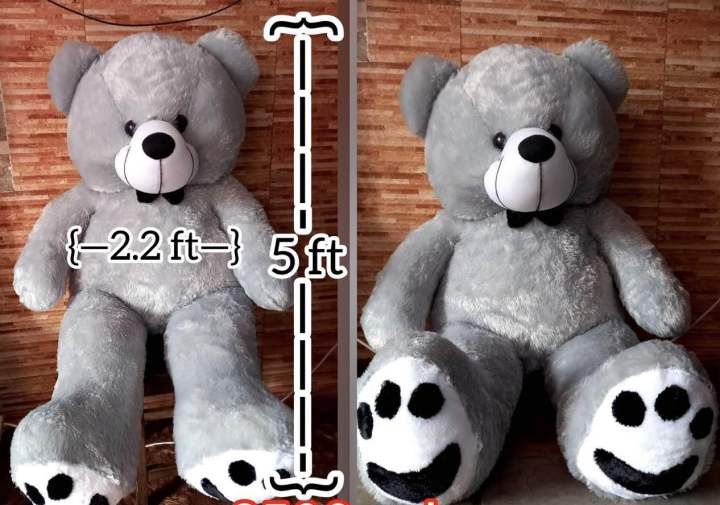 5 ft Fat Large Teddy Bear Giant Teddy 5 Kg Normal fur | Daraz.com.np