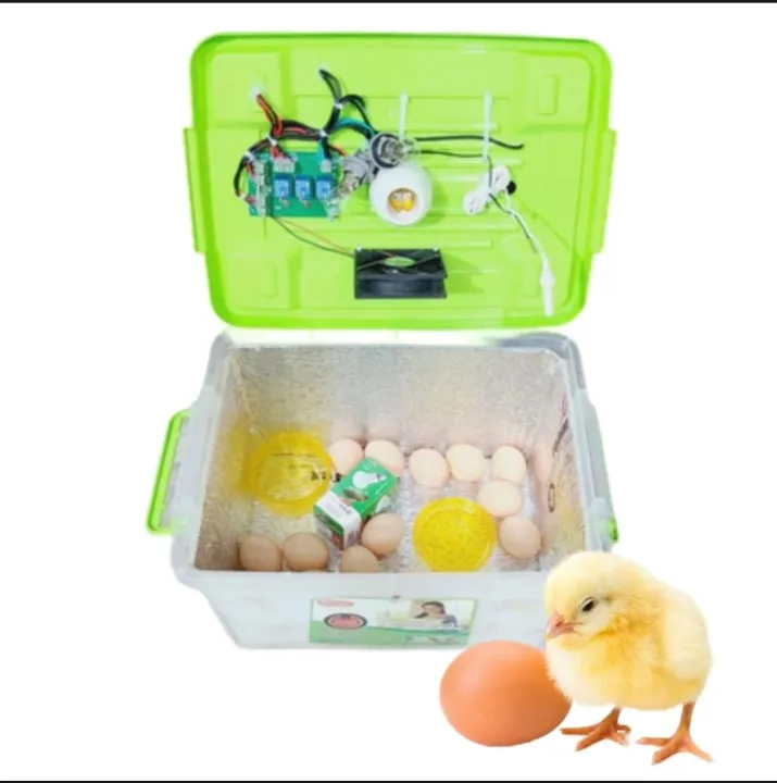 50 Eggs semi auto AC + DC Incubator machin 90% Automatic Incubator ...
