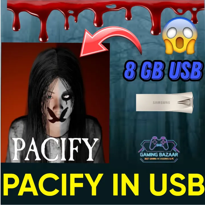 Pacify Horror PC Game | USB 8GB Installation Drive | Daraz.pk
