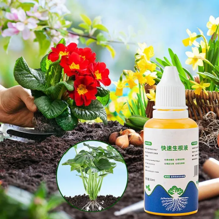 Fast Plant Rooting Powder Rapid Root Nutrition Fruit Garden Nutrient ...