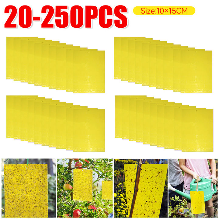 20-200PCS Fly Stickers Outdoor Plant Insect Catcher Fly Trap Double ...