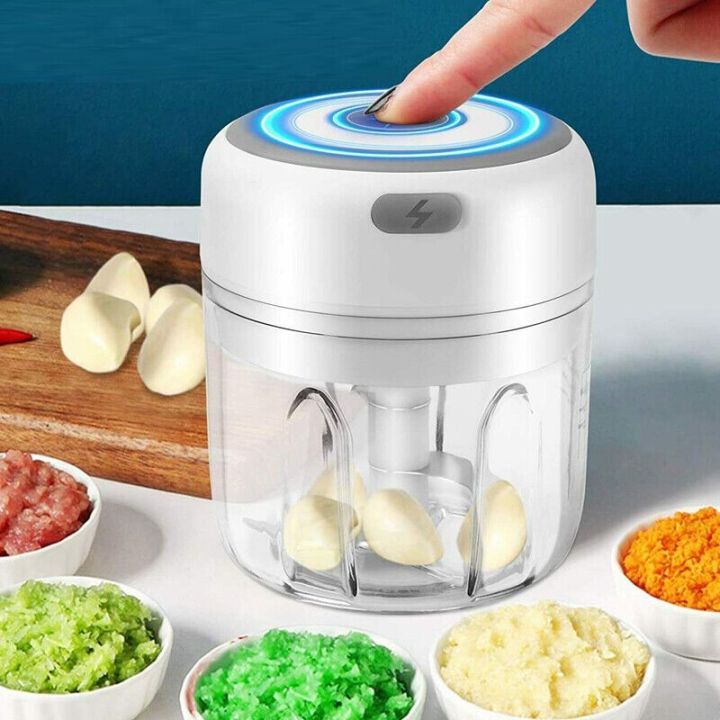Mini Electrical Garlic Chopper 250ML USB Garlic Grinder Mini Vegetable ...