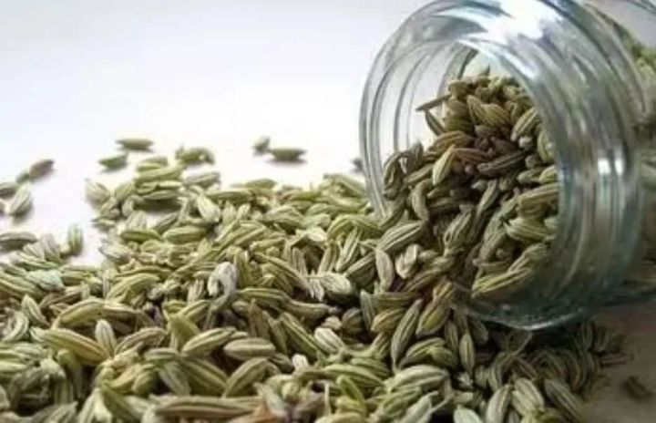 Fennel Seed / pan Mouri - 100 gm | Daraz.com.bd