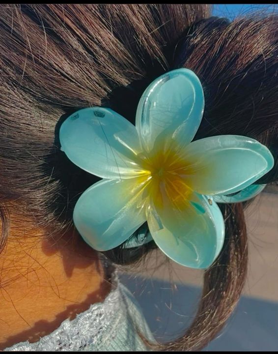 Trending Korean flower catcher | Daraz.pk