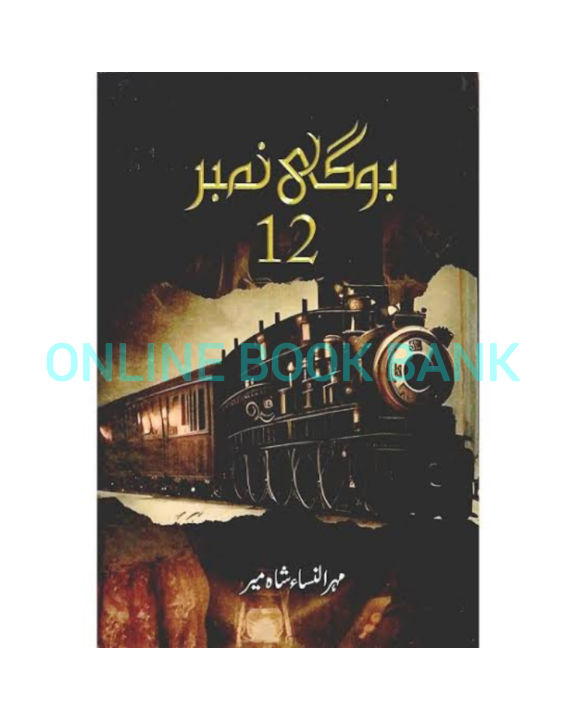 Bogi Number 12 Novel by Mehrulnisa Shahmeer | Bogi number Baara / bogi ...
