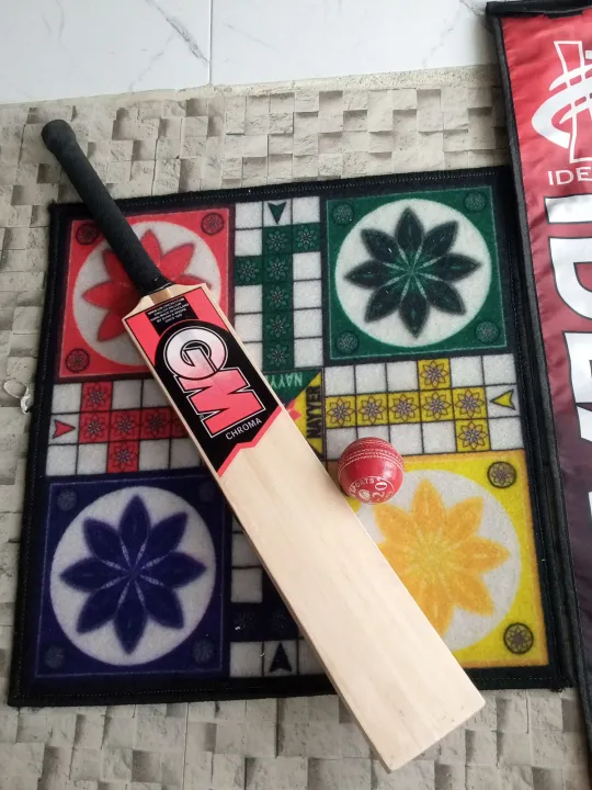 Special Deal GM Premium Quality Hard ball bat+T20 ball. 6 pice Handle ...