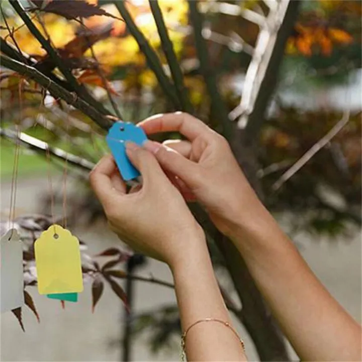 100 Pcs Hanging Colorful Garden Tags with String, Writable Marking ...