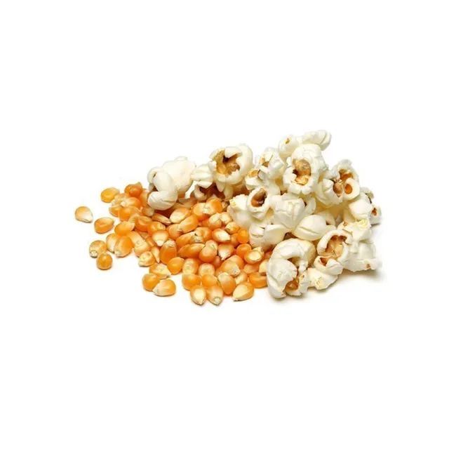 Popcorn seed tasty and delicious fresh seed student | Daraz.pk