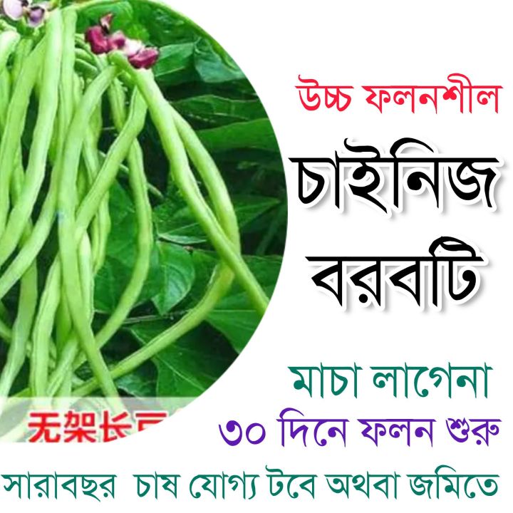 Khato Jater Borboti Seed 20 Piece (চাইনিজ বরবটি) All Season Vegetable ...