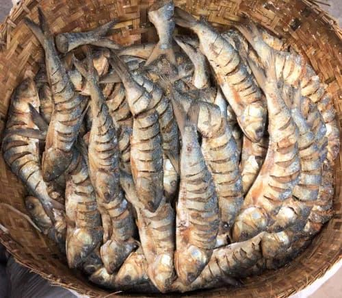 Nona Elish Shutki Dry Fish 1kg | Daraz.com.bd