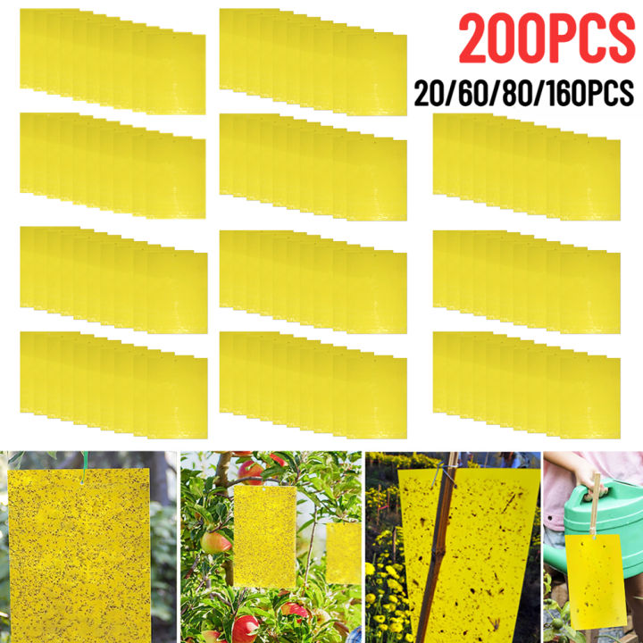 20-200PCS Fly Stickers Outdoor Plant Insect Catcher Fly Trap Double ...