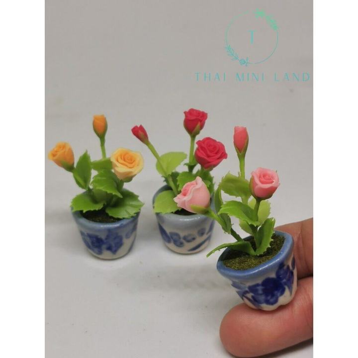 Tiny roses (3 flowers) rose roses in a flower pot miniature flowers ...