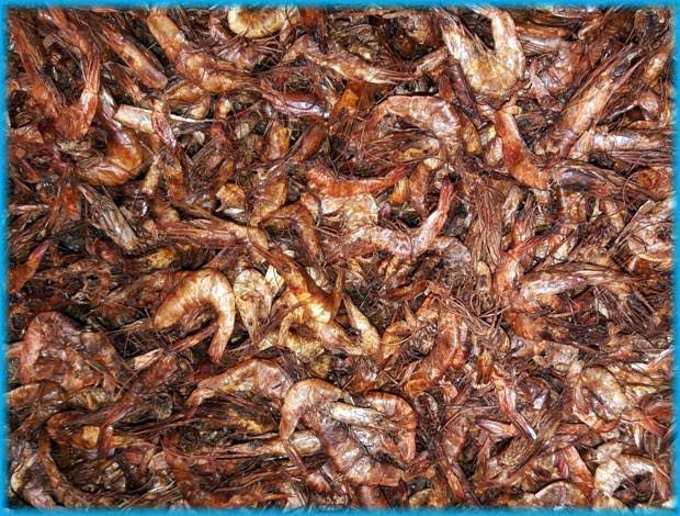 Shutki medium size chingri shutki (500 gram) | Daraz.com.bd