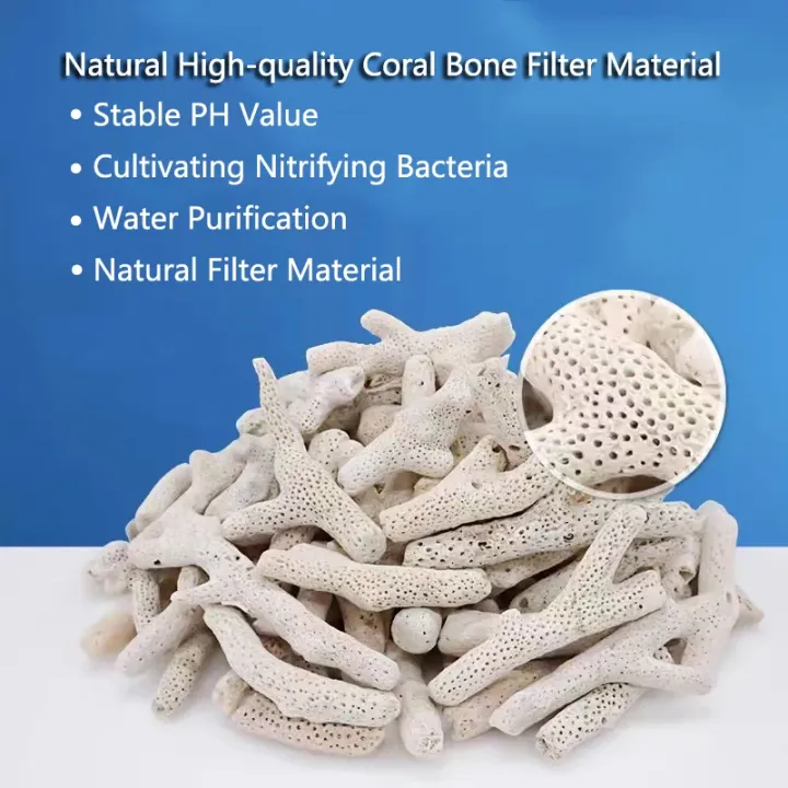 High Quality Natural Reef Coral Bone Aquarium Filter Medium Biological ...