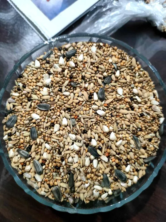 Seed mix for bird(regular) 1kg | Daraz.com.bd