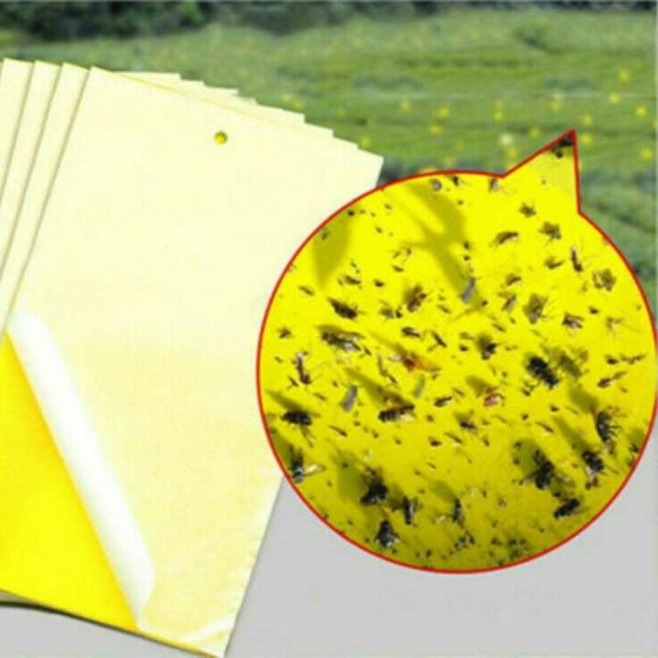 2 Pcs Sticky Fly Trap Paper Yellow Traps Fruit Flies Insect Glue ...