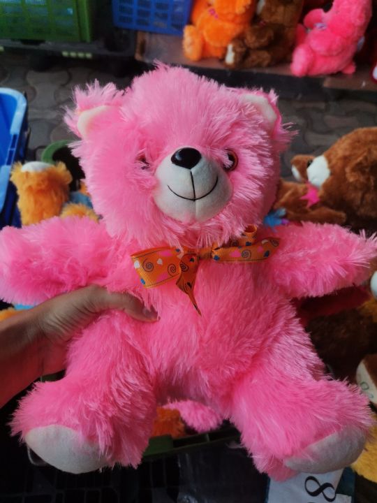 Cute Teady Bear | Daraz.lk: Buy Online at Best Prices in Srilanka ...