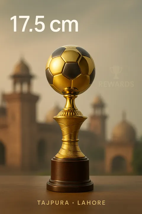 17cm size Premium Metallic Football Trophy | Ideal for World Cup ...