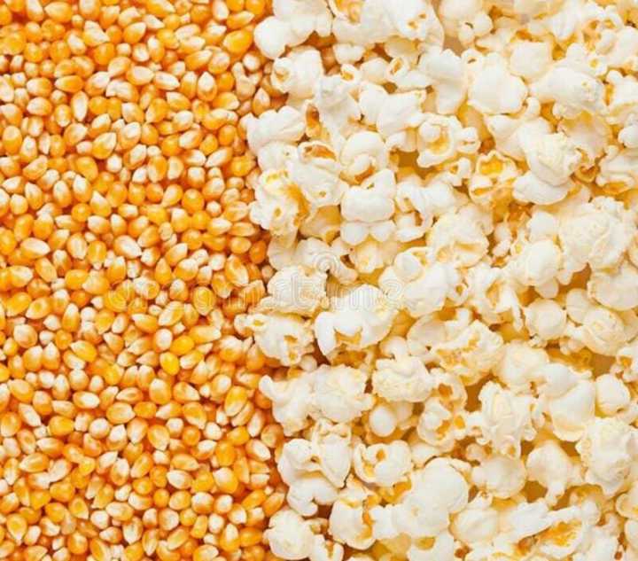 popcorn seed | Daraz.lk: Buy Online at Best Prices in Srilanka | Daraz.lk