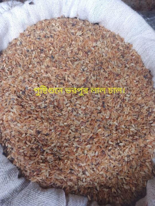 red rice -2kg shah agro farm garden plants 2kg | Daraz.com.bd