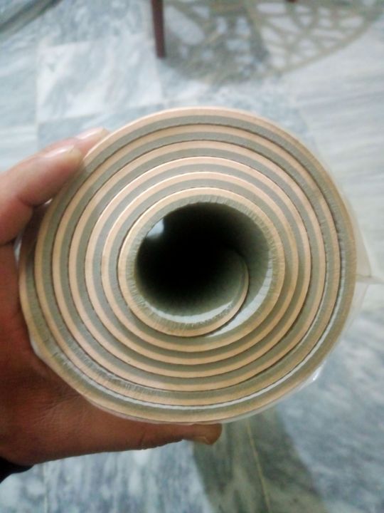 Yoga Mat - 6 mm TPE Material - Premium Quality Professional Standard Matt for Exercise, Fitness ...