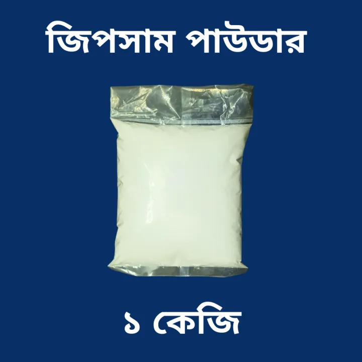 1 kg gypsum power / plaster of paris for art and sculpture, creative ...