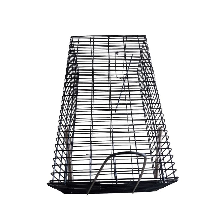 AUTOMATIC MEDIUM CATCHING CAGE REUSABLE FOR ANIMALS | Daraz.pk