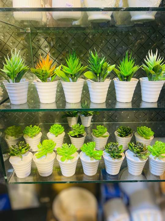 1 piece Cactus Succulent Artificial Succulent Bonsai Desk Decoration ...