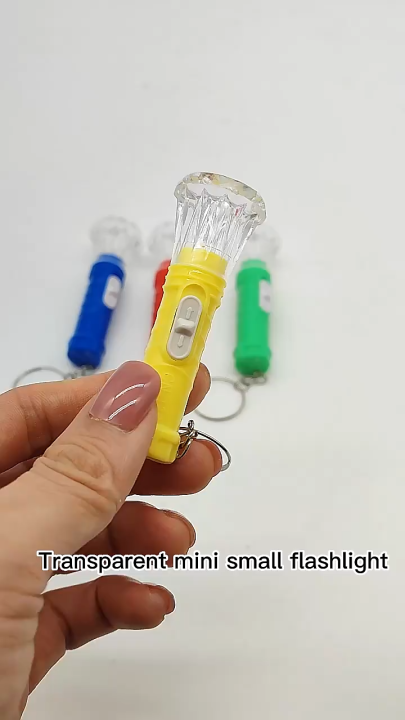 Mini LED Keychain Flashlight – Portable Plastic Torch for Camping ...