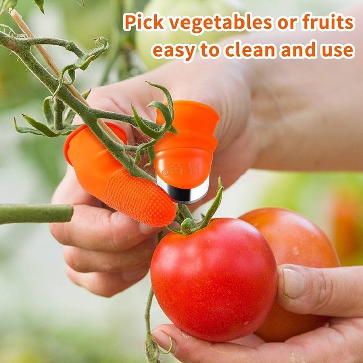 Silicone Thumb Cutter for Vegetables & Fruits - 5-in-1 Innovative ...